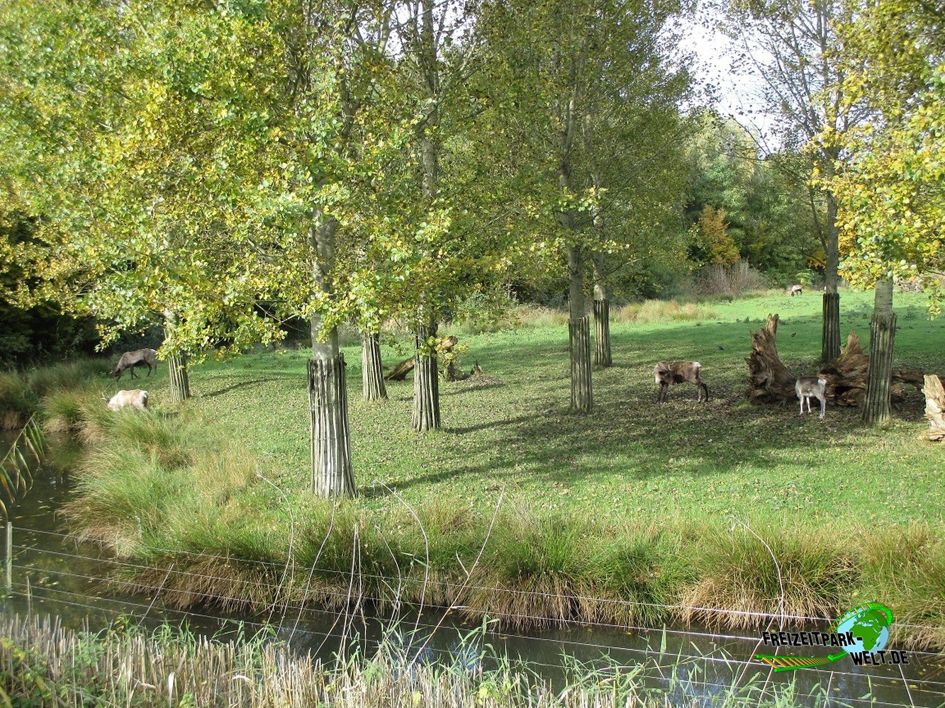 Foto Galerie 2015 - Zoo Parc Overloon | Freizeitpark-Welt.de