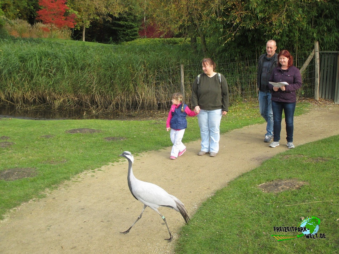 Foto Galerie 2015 - Zoo Parc Overloon | Freizeitpark-Welt.de