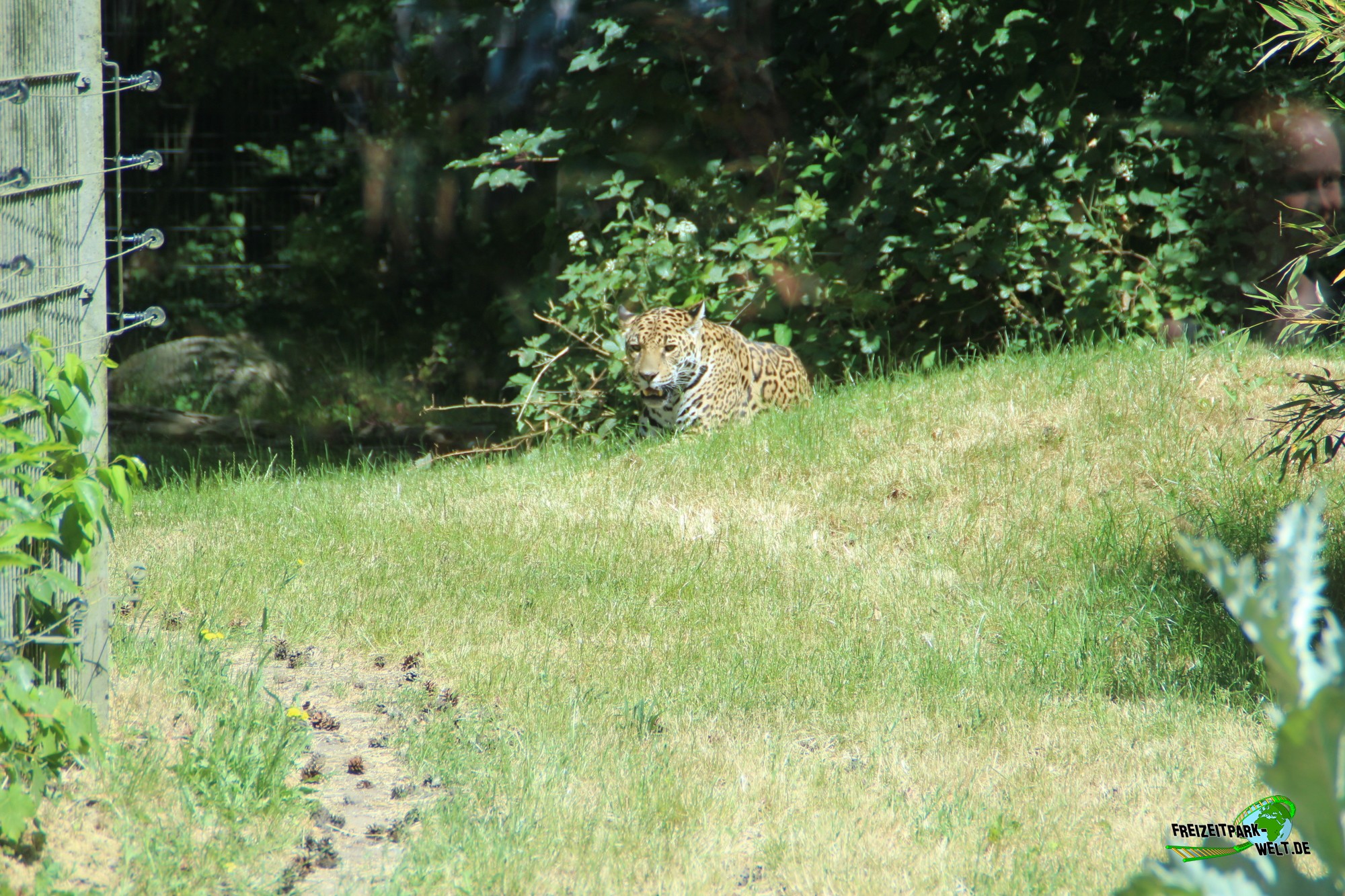 Foto Galerien - Zoo Rostock | Freizeitpark-Welt.de