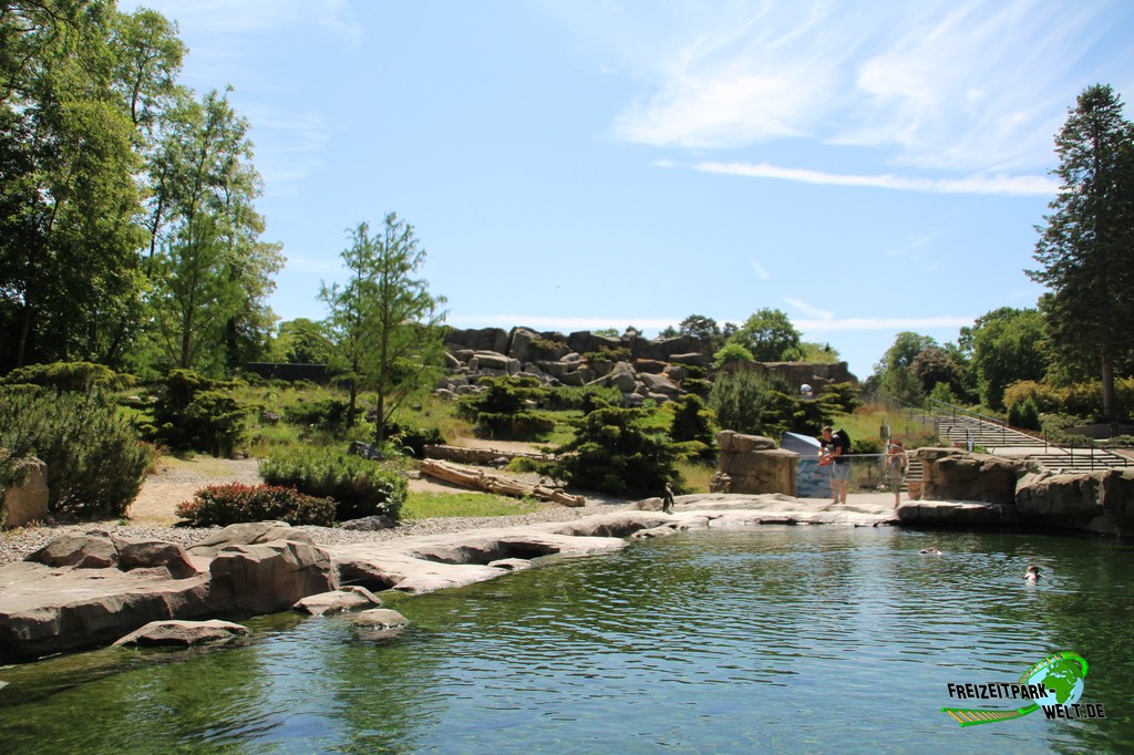 Humboldt-Pinguine - Zoo Rostock | Freizeitpark-Welt.de