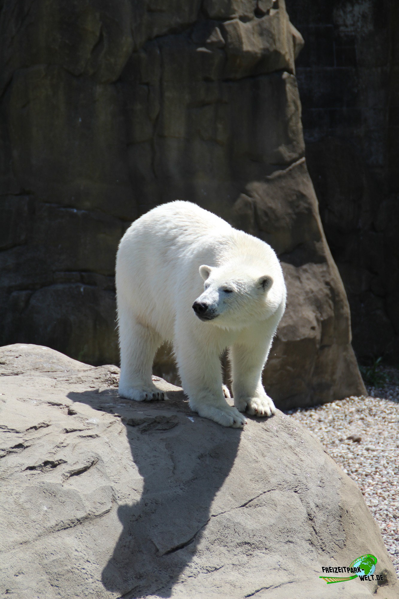 Zoo Rostock - Highlights & Tipps zum Besuch | Freizeitpark-Welt.de