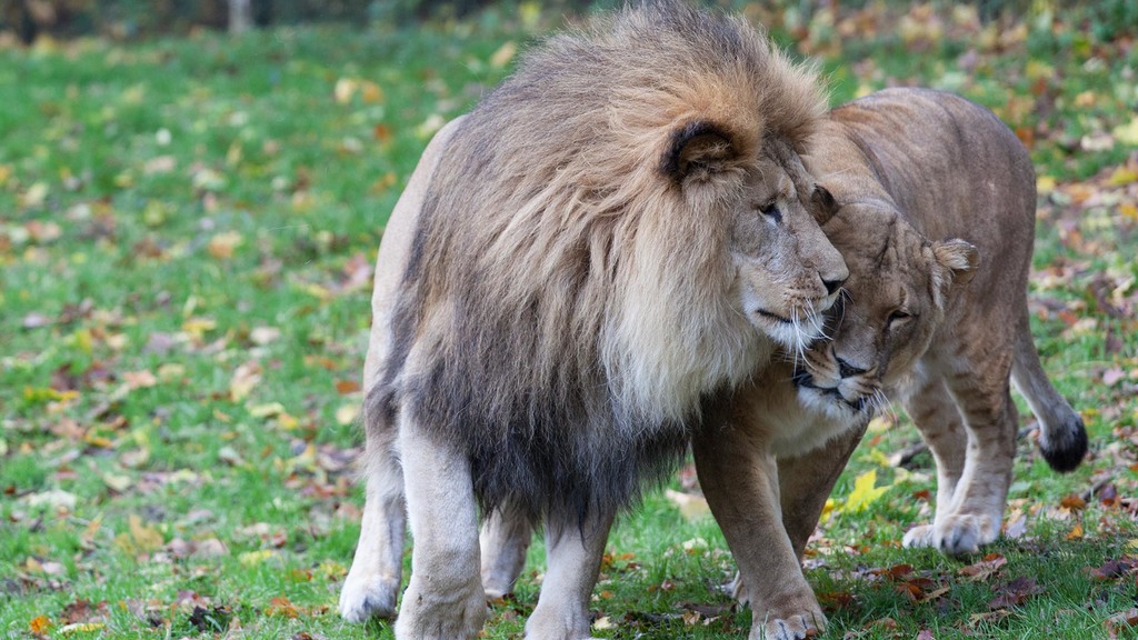 Tierisch viel los während der Winterferien im Zoo Rostock - Zoo Rostock