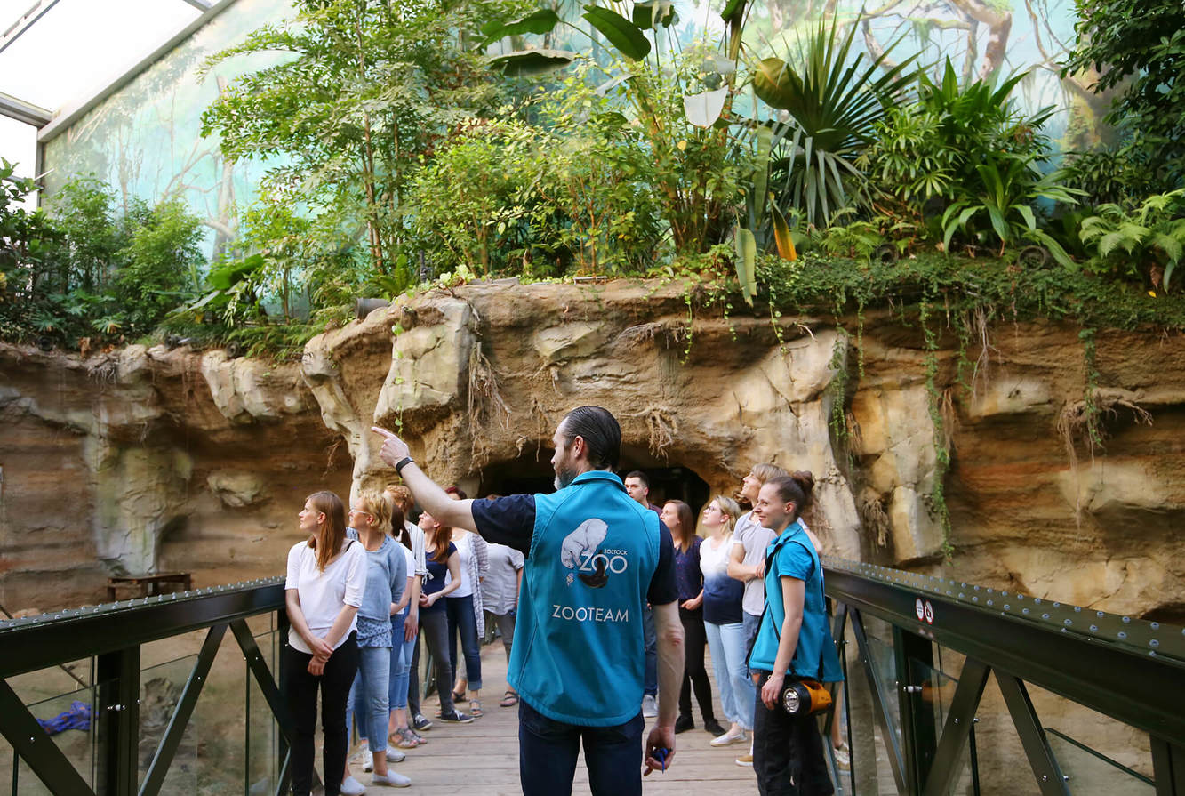 Spannendes Ferienprogramm für die ganze Familie im Zoo Rostock - Zoo ...